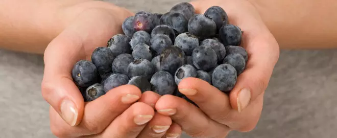 grožđe, hrana za pročišćavajuću dijetu