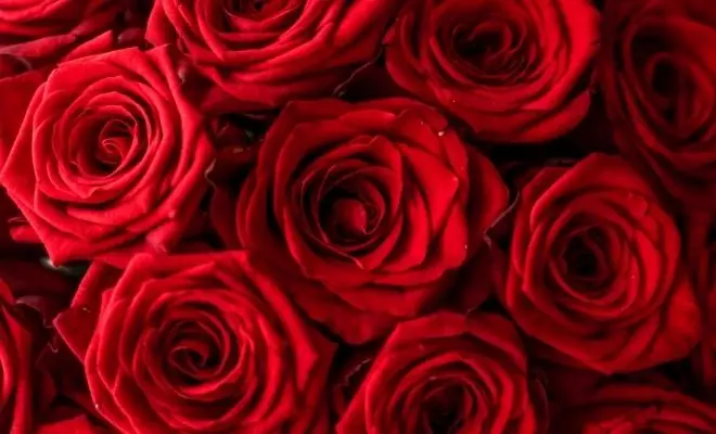 ritual Valentine pikeun manggihan cinta jeung rekindle spark dina hubungan anjeun