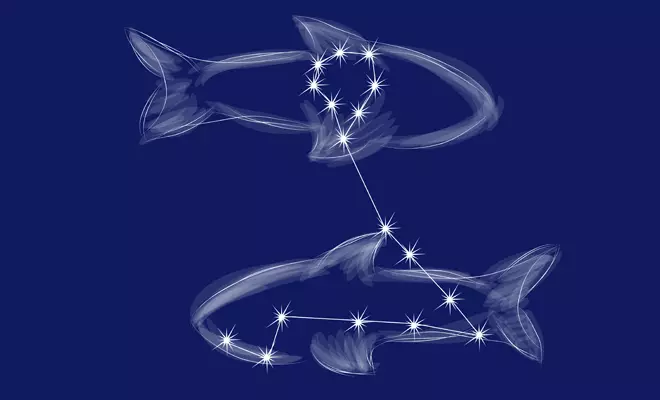 Mida elavad Kalad horoskoobi järgi aastal 2022?