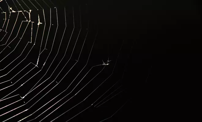 Sanjati crne pauke: suočite se sa svojim strahovima