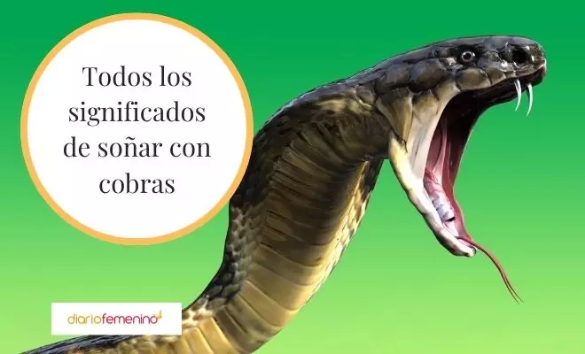 D'Bedeitung vum Dram vun enger Kobra: erschreckend oder gutt Zeechen?