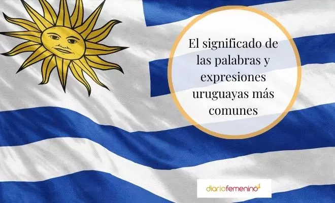 29 ביטויים, מילים וביטויים אורוגוואי טיפוסיים (עם משמעות)