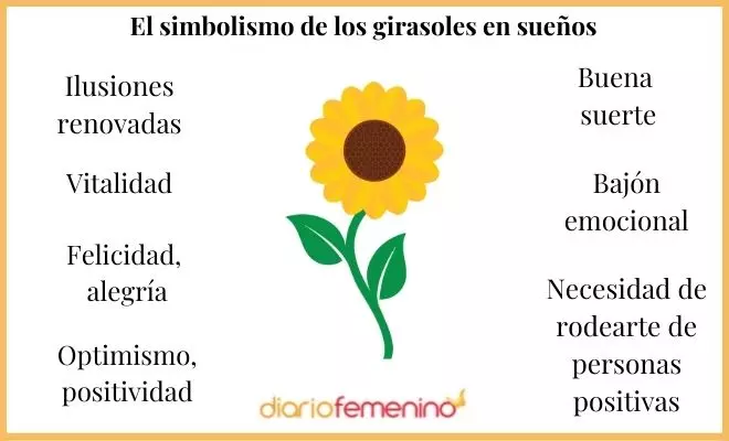 Simbolismul floarea soarelui în vise