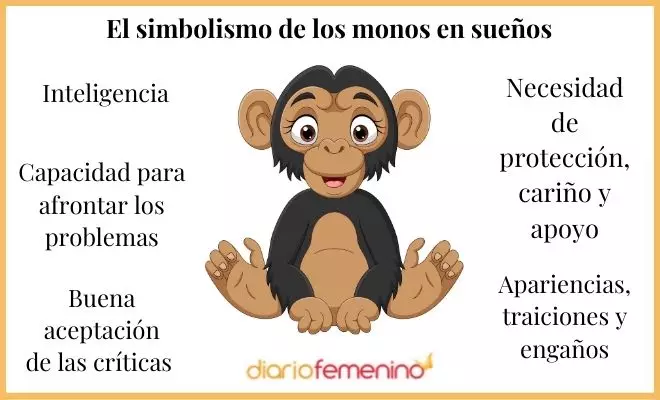 Simbolika majmuna u snovima