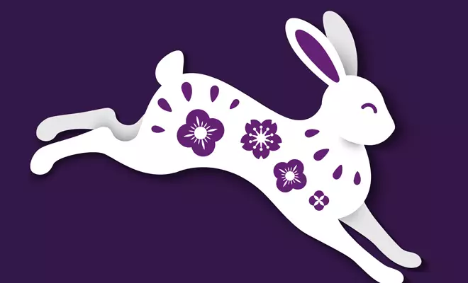Ieu bakal 2021 pikeun Rabbit numutkeun horoskop Cina