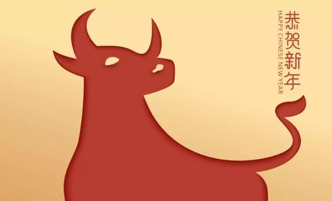 Horoscope yaku China: maulosi ambiri a Ox mu 2021