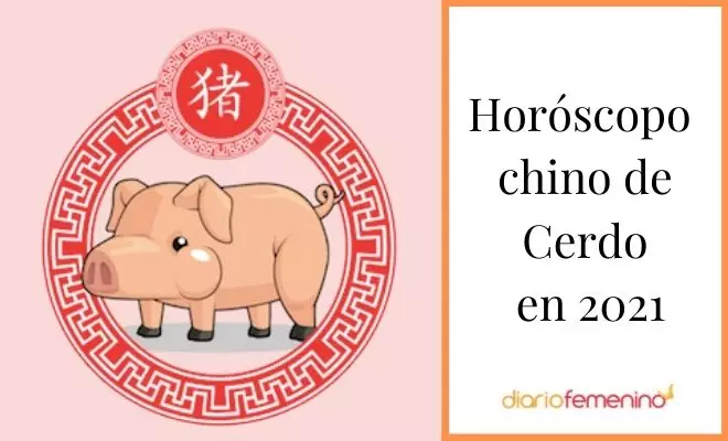 Chinese horoscoop 2021: Varken en zijn voorspellingen voor het Jaar van de Os