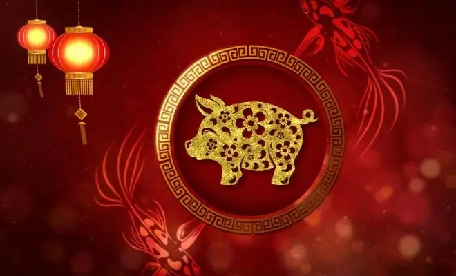 Horoscope yaku China: maulosi ambiri a Nkhumba mu 2021