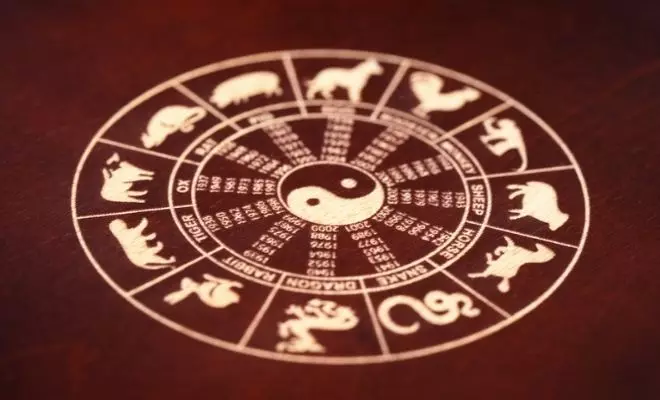 Maulosi a Nkhumba pantchito, ndalama ndi thanzi malinga ndi horoscope yaku China 2021 (Chaka cha Ng'ombe)