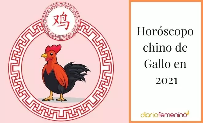 Kinesiskt horoskop: vad stjärnorna kommer att ge Rooster 2021