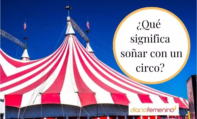 Kaj pomeni sanjati o cirkusu?