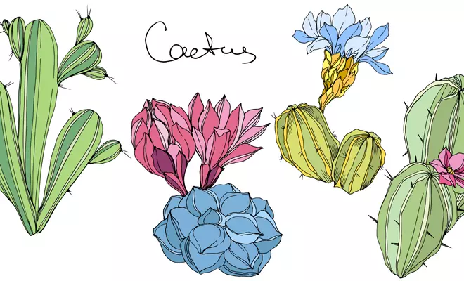 Forskellige typer kaktus tatoveringer