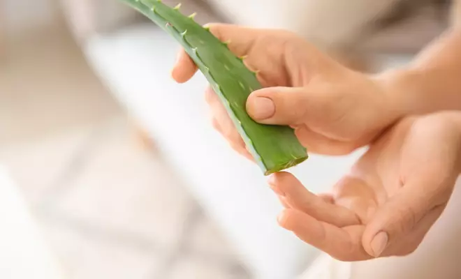 Aloe vera -käsihuuhteen valmistusvaiheet
