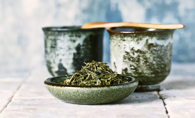 teh hijau untuk asma
