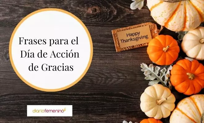 Feliz día de Acción de Grazas: frases de agradecemento para o Día de Acción de Grazas