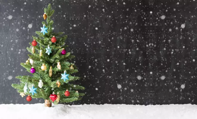 سنت های کریسمس: قرار دادن درخت