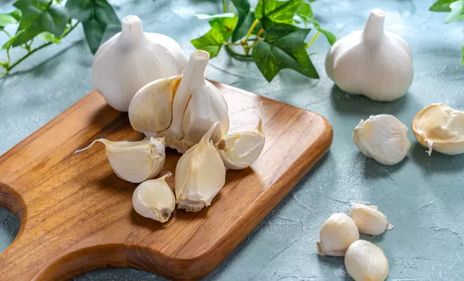 Manfaat dan khasiat bawang putih yang digunakan sebagai tanaman obat