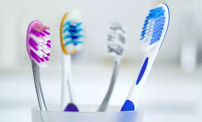 trocar escova de dentes