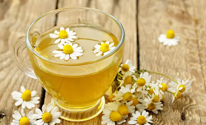 Ang chamomile ingon usa ka tanum nga medisina: gamit, benepisyo, contraindications