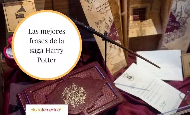 Die besten und bekanntesten Sätze von Harry Potter