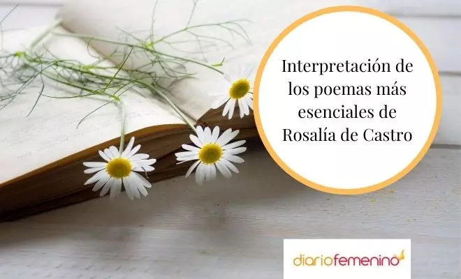Rosalía de Castron runoja, jotka sinun pitäisi tietää (hänen tulkinnan kanssa)