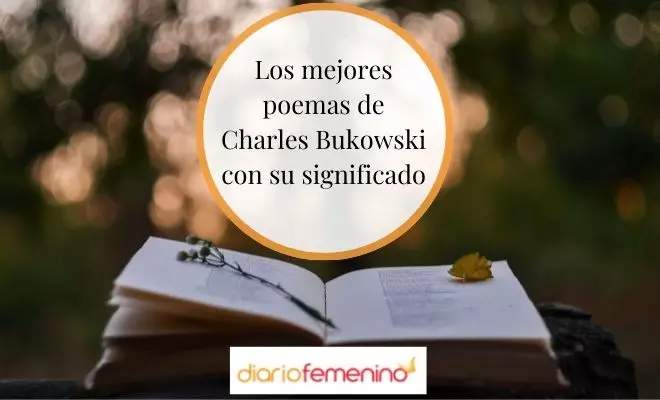 Große Gedichte von Charles Bukowski und ihre Interpretation: Lebensverse
