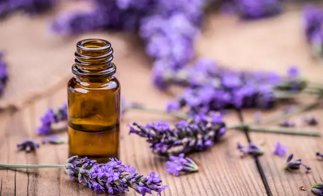 Lavendel: arom mot ångest