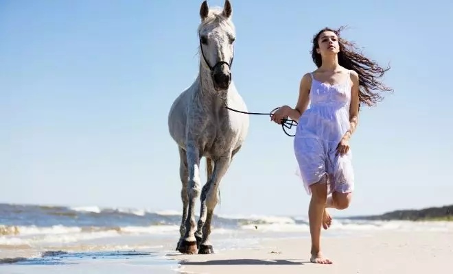 Ý nghĩa của giấc mơ thấy một con ngựa đang đuổi theo bạn