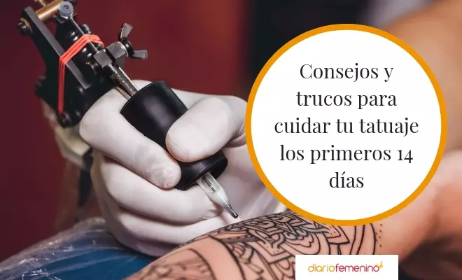 How should you care for a tattoo the first few days? We tell you!