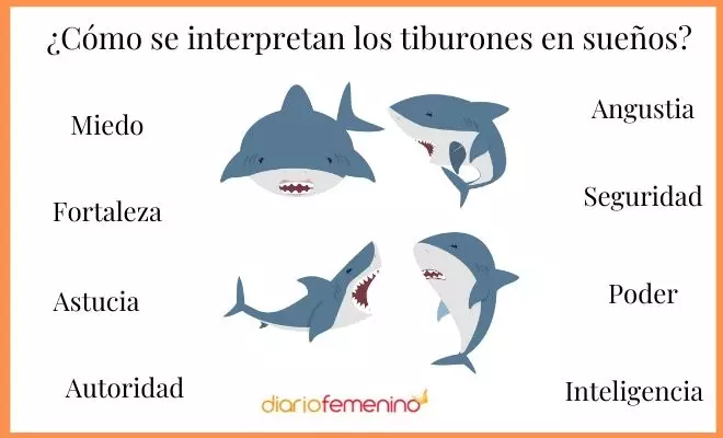 Hoe word haaie in drome geïnterpreteer?