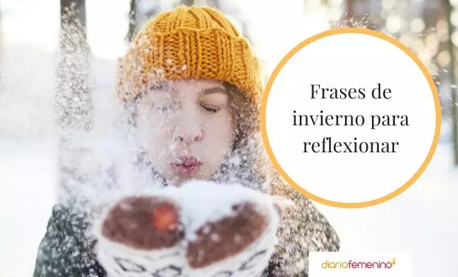 Les millors frases d'hivern que us conviden a reflexionar