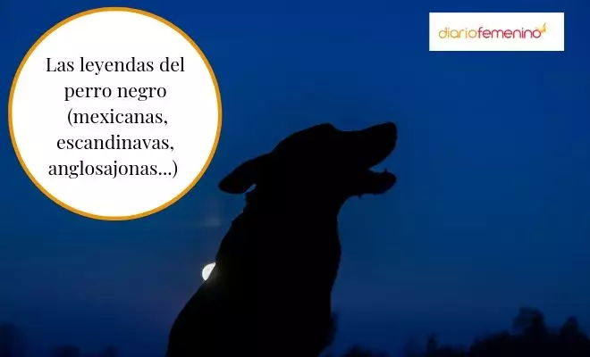 Meksikas leģenda par melno suni (un versijas no citām valstīm)