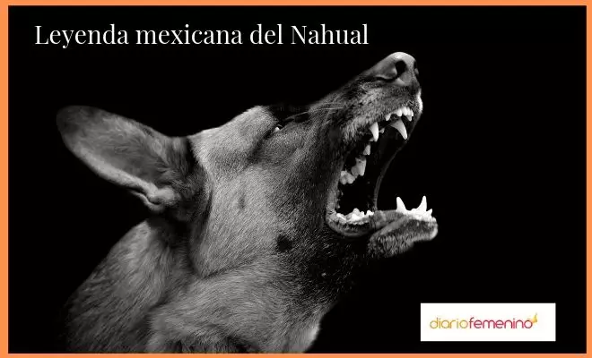 Lub Nahual: shocking Mexican legends txog ib tug terrifying tsiaj