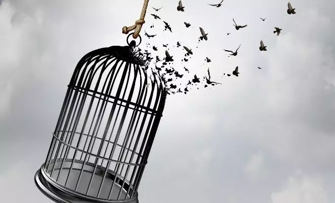 Die Bedeutung zu träumen, dass ein Vogel aus dem Käfig entkommt