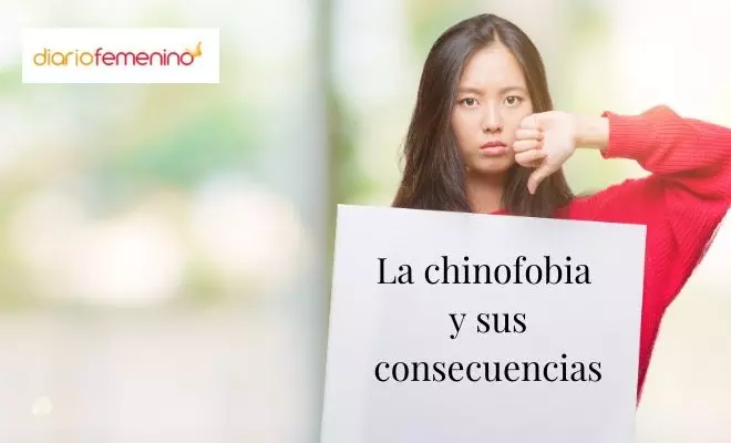 Chinophobia: the unjustified fear of the Chinese (and its consequences)