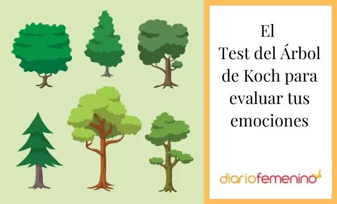 科赫树测试：测量情绪稳定性的测试