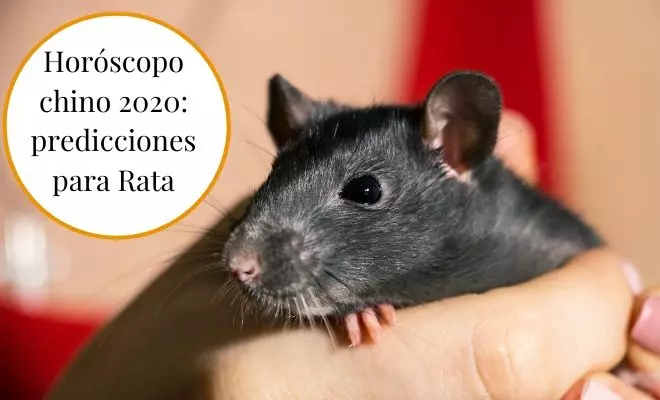 Chinese horoscope 2020: predictions for the Rat (in the Year of the Metal Rat)