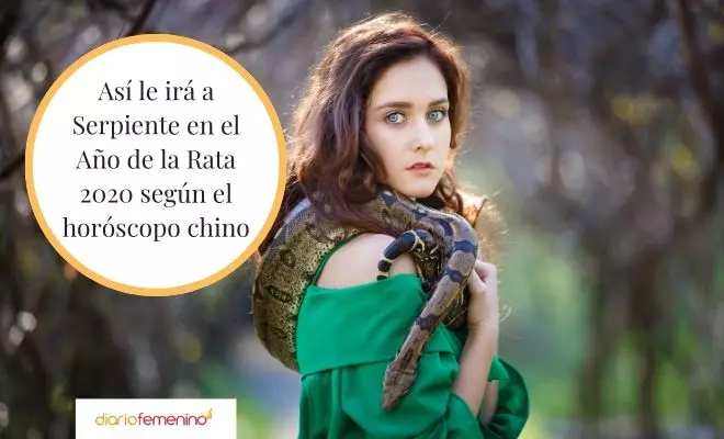 Chinese horoscope 2020: this will be the Year of the Rat for Snake
