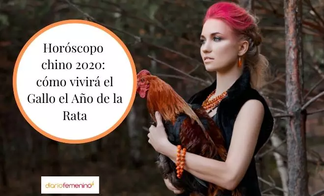 چینی زائچہ کے مطابق یہ مرغ کے لیے چوہے کا سال 2020 ہوگا۔