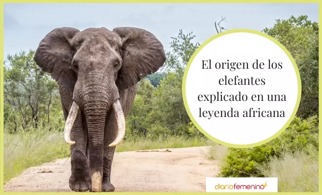 Die gelukkige oorsprong van olifante: gewilde Afrika-legende van liefde