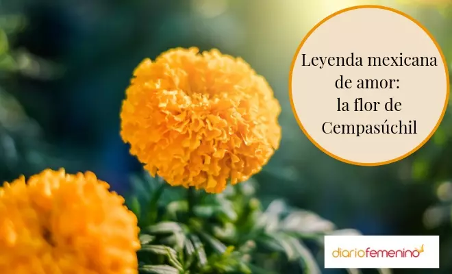 Die Cempasúchil-Blume: mexikanische Legende einer Liebe, die niemals stirbt