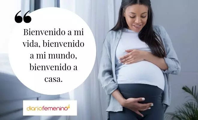 Любовное письмо беременной женщины своему ребенку в утробе матери