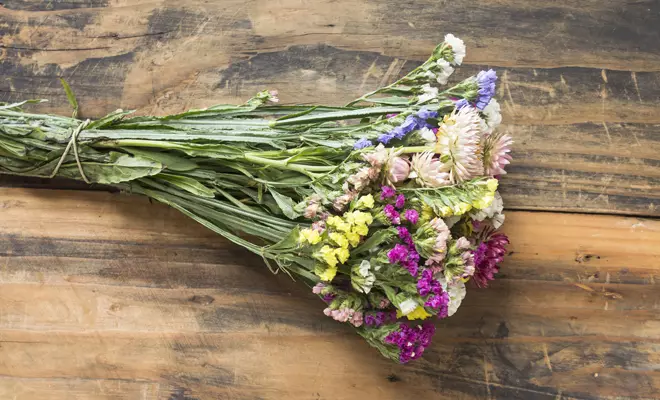 Фенг шуи и 8-те предмети во вашата куќа кои привлекуваат лоша енергија: исушени цветови