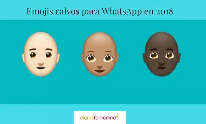 Li-emojis tse ncha ho WhatsApp: Li-emoticons tse fetang 100 bakeng sa 2018