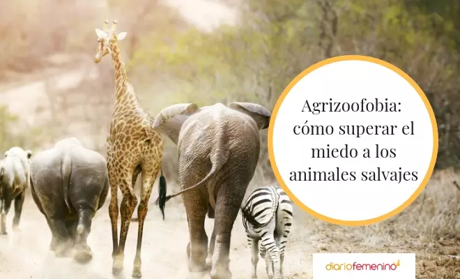 एग्रीज़ोफोबिया: जंगली जानवरों का डर क्या है और इसे कैसे दूर किया जाए?