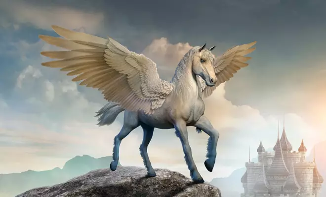Lub ntsiab lus ntawm kev npau suav ntawm Pegasus: koj tus npau suav mythological