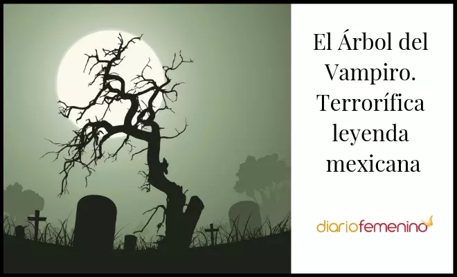 Gloomy Mexican legend: ຕົ້ນ Vampire ແລະເລື່ອງຈິງຂອງມັນ